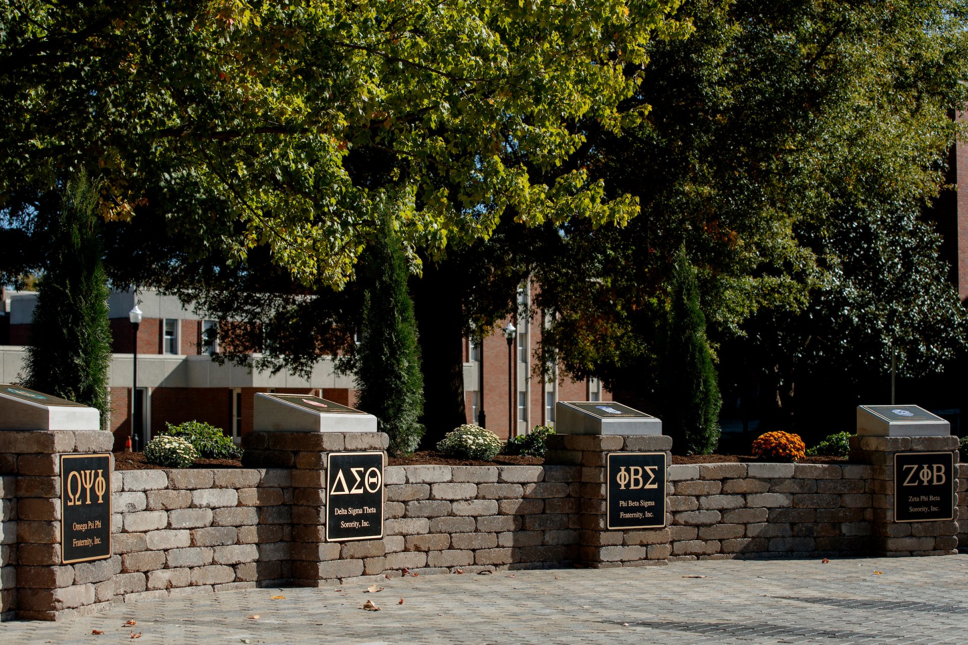 UT Martin dedicates NPHC Greek Garden at Unity Circle - UT Martin News