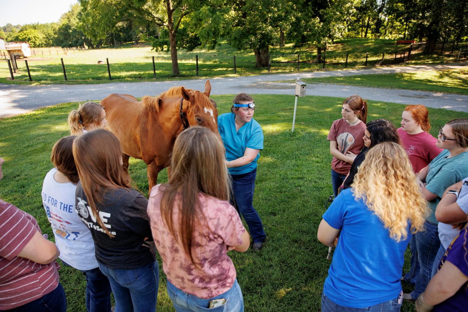 Tennessee Governor's School students set to arrive on campus - UT ...