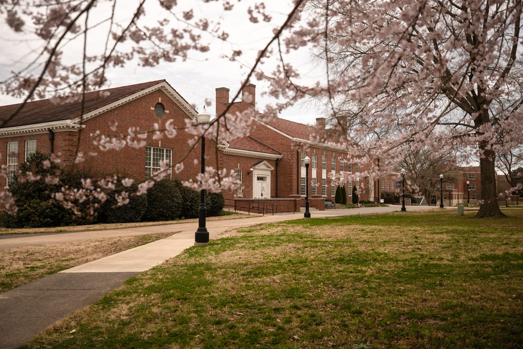 UT Martin Spring Semester classes to begin Jan. 11 - UT Martin News