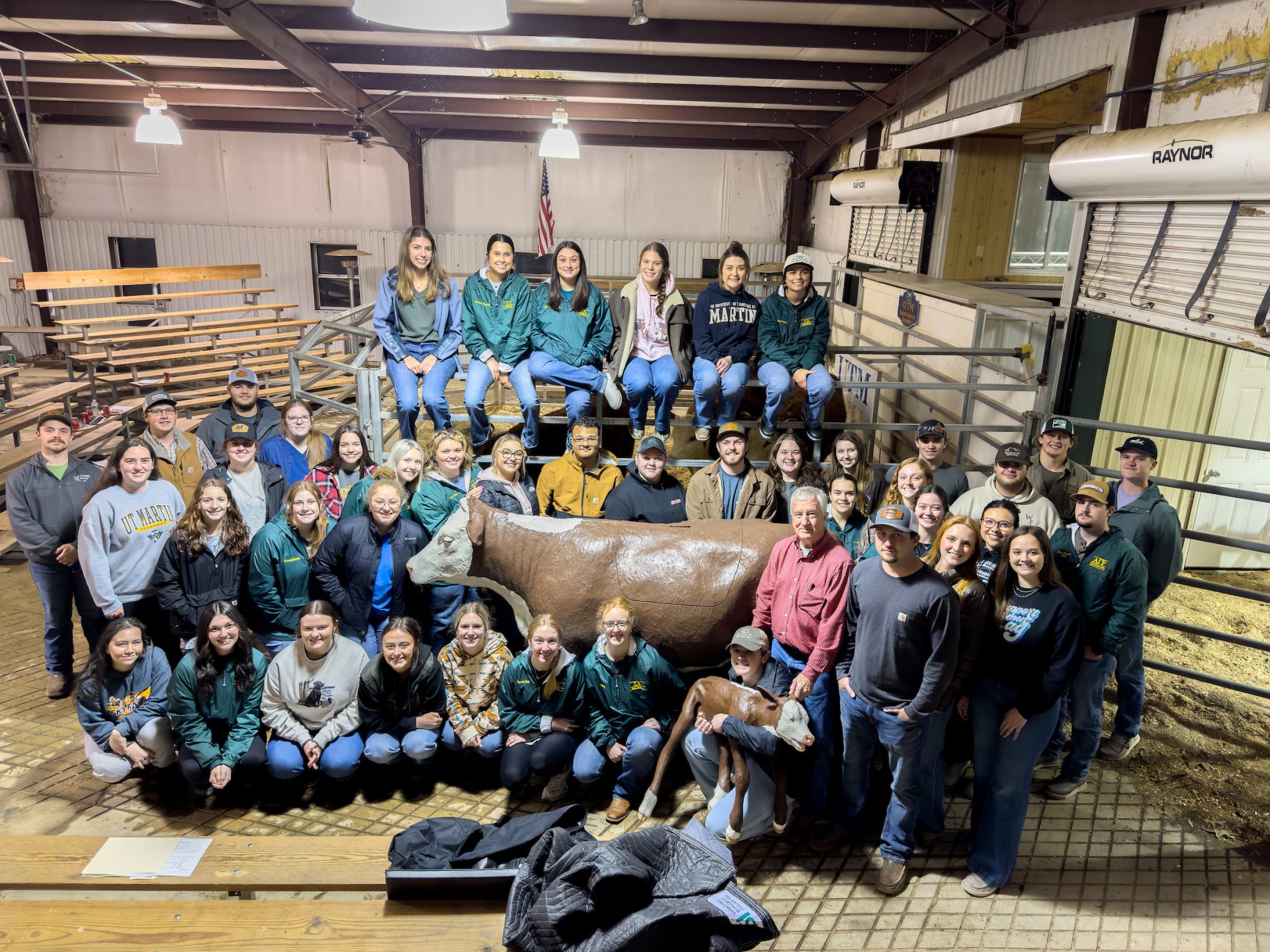 Cow, calf models enhance ag education - UT Martin News