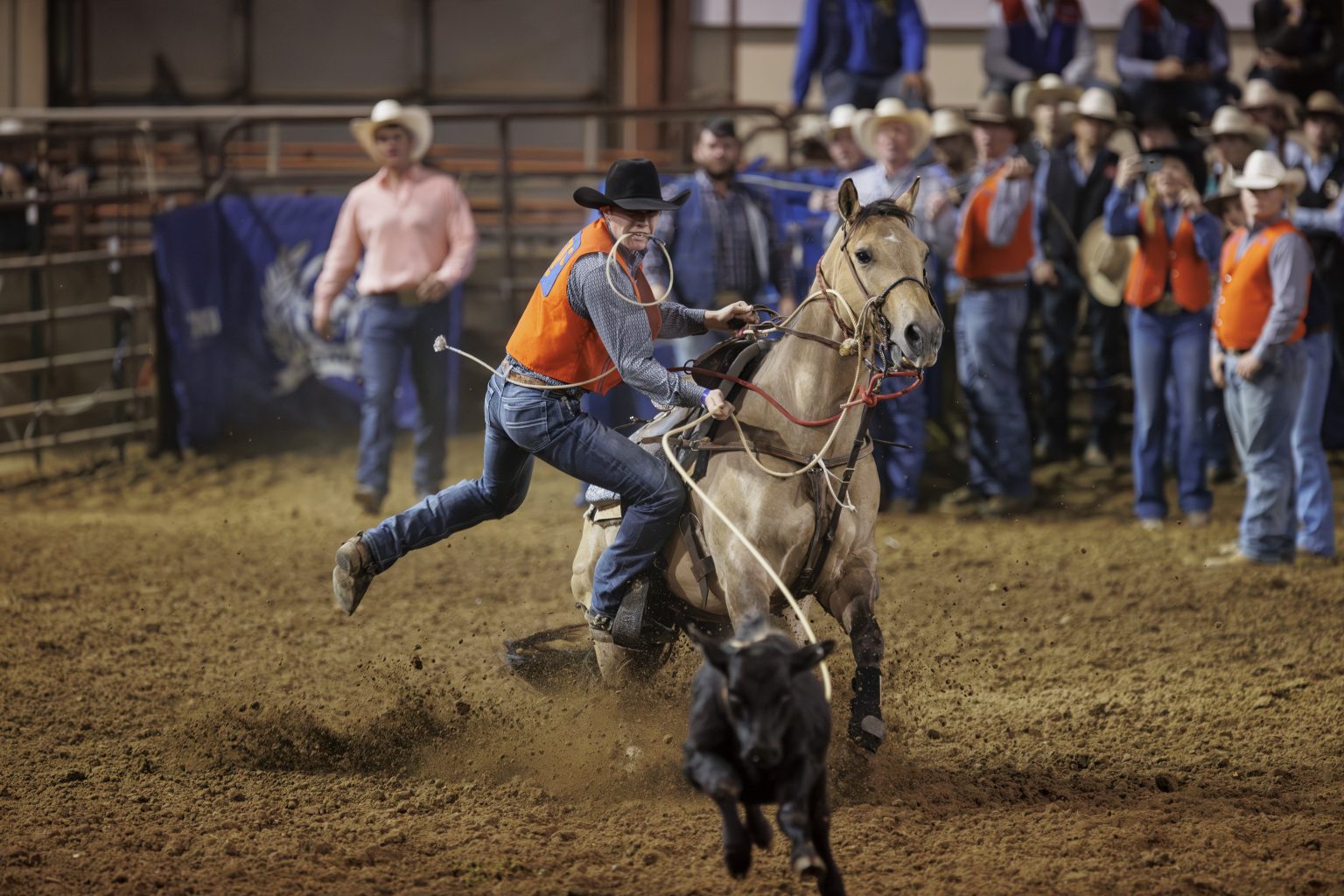 UTM Spring College Rodeo set for April 17-19 - UT Martin News