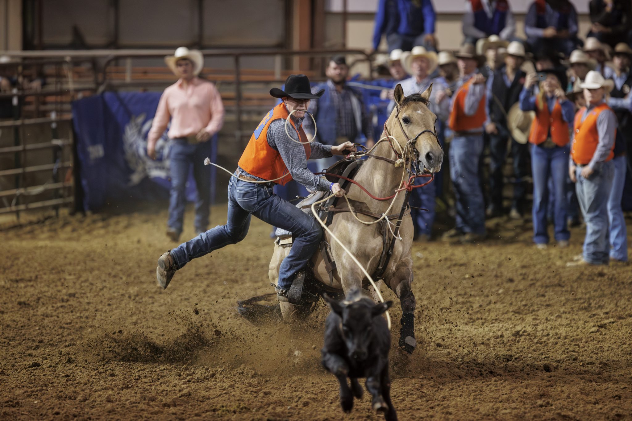 UTM Spring College Rodeo set for April 17-19 - UT Martin News