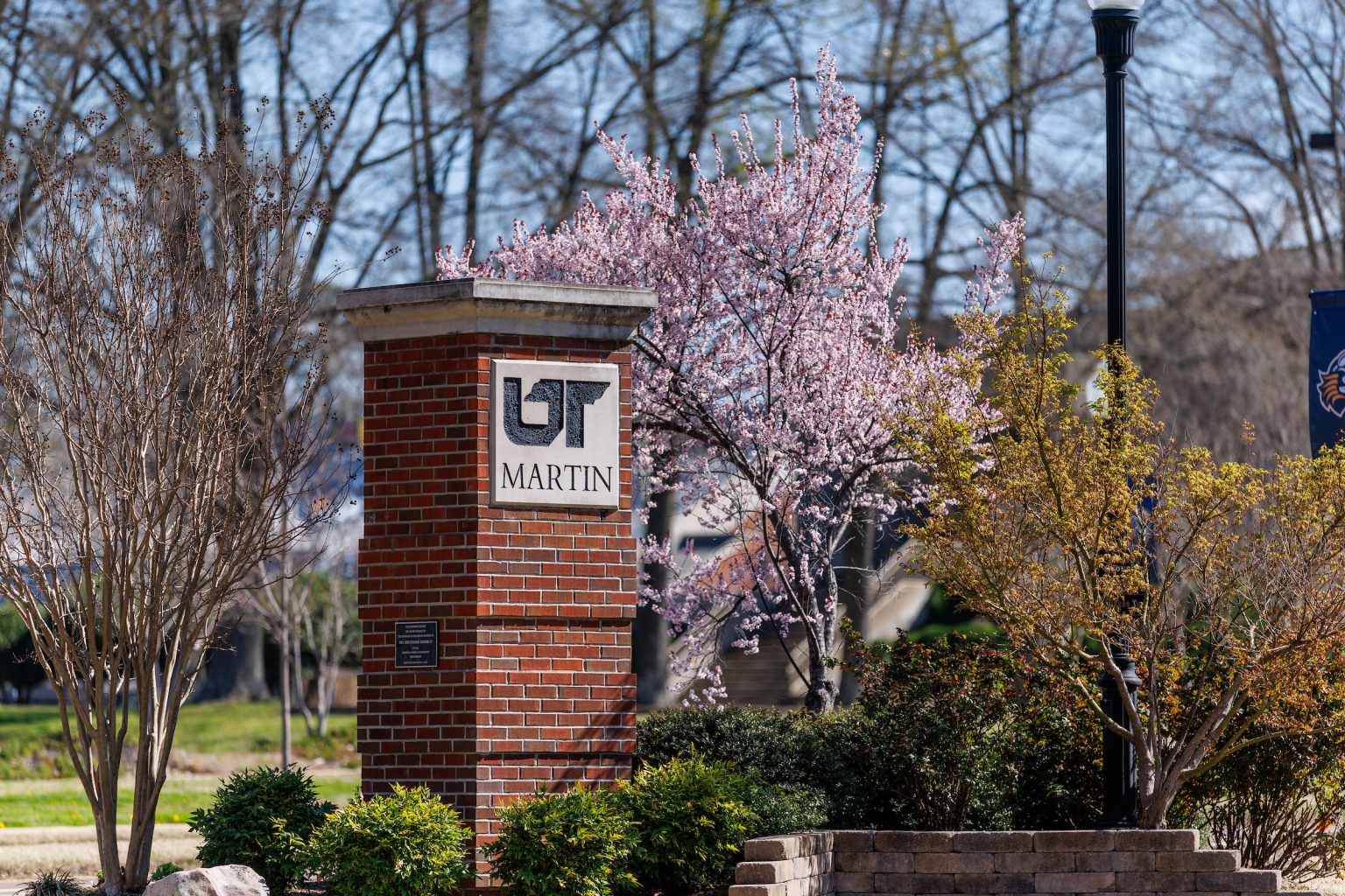 UT Martin to host virtual ACT workshop - UT Martin News
