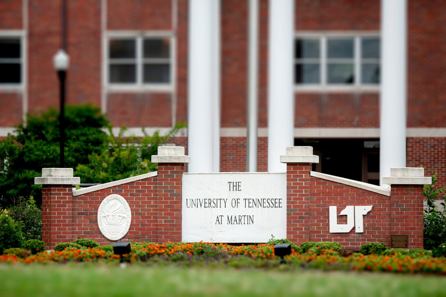 UTM to hold Free Application Week Sept. 15-19 - UT Martin News